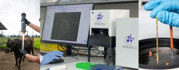 Sperm Analysis Technologies - Conocimiento